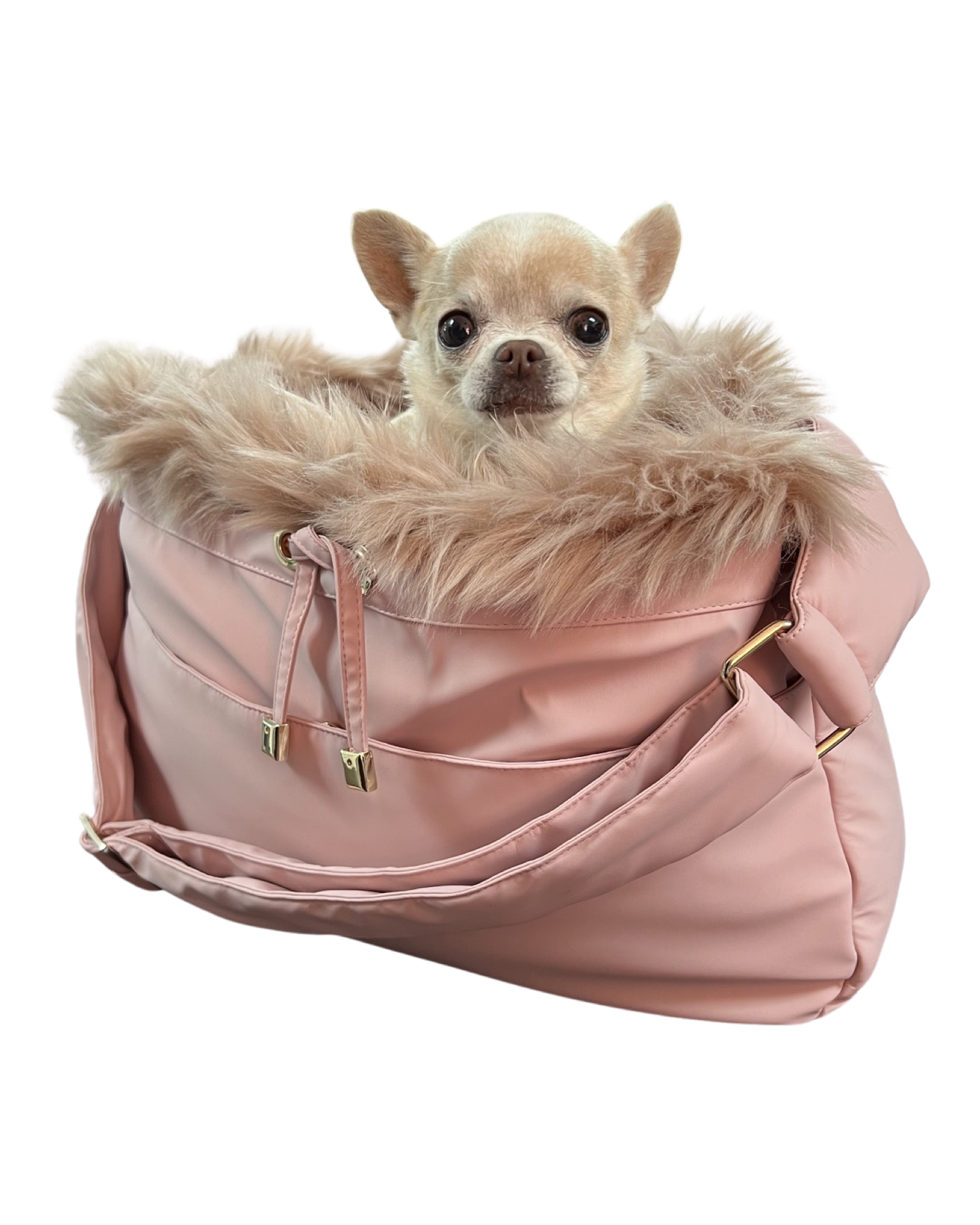 Prince and Princess USA Luxury Dog Accessories – princeandprincessusa