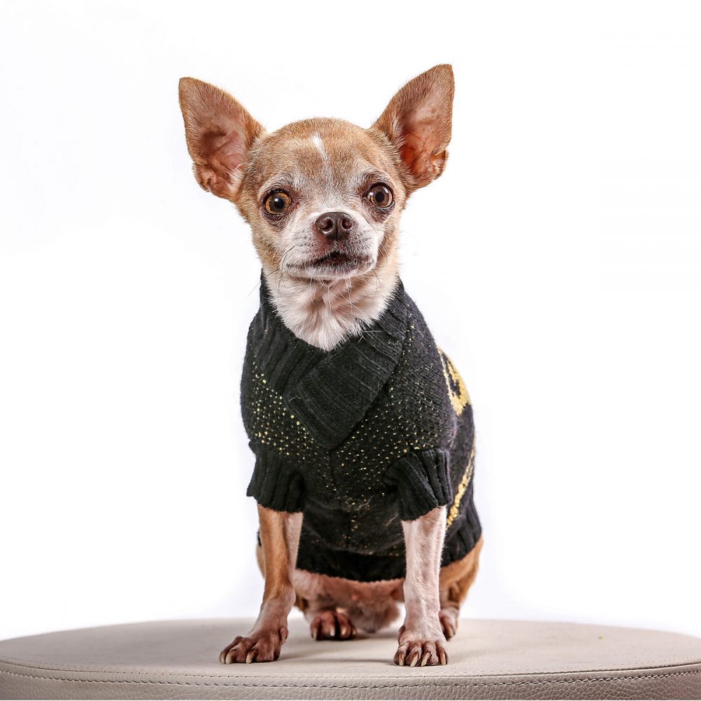 Sweater - Princess Crown – princeandprincessusa