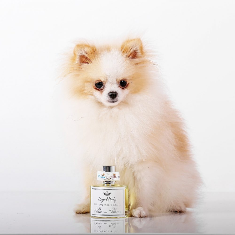 Prince and Princess USA Luxury Dog Accessories – princeandprincessusa